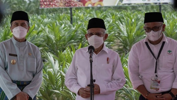Hilirisasi Sawit, Wakil Presiden Dorong Syamsuar Gandeng Petani Produksi Minyak Makan Merah